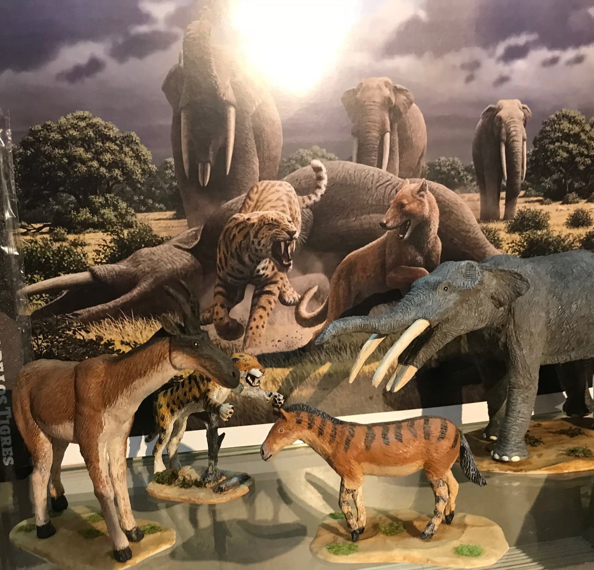 Machairodus, reproducción del feroz dientes de sable del mioceno