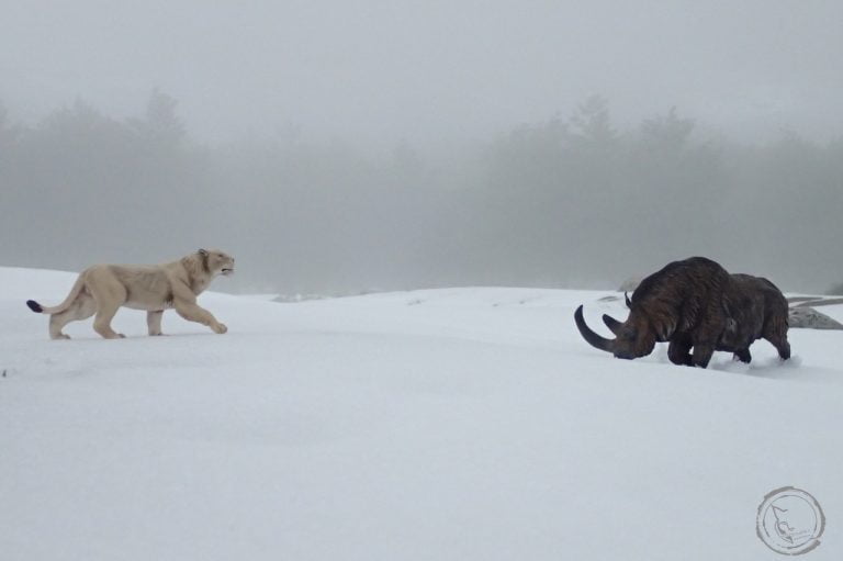 LEÓN CAVERNARIO, el más terrible depredador del pleistoceno