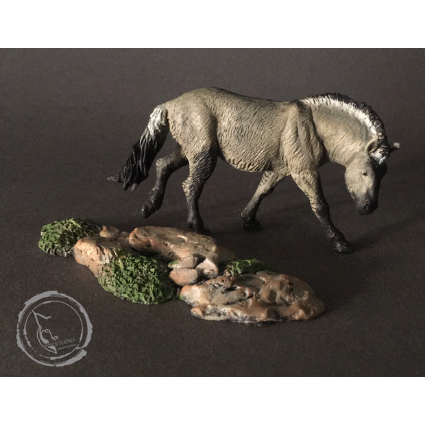 Tarpán (Equus Ferus Ferus), el antepasado salvaje del caballo.