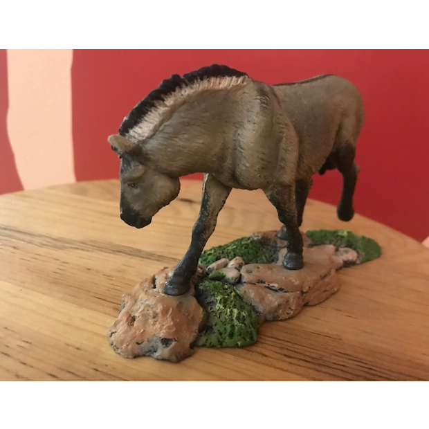 Tarpán (Equus Ferus Ferus), el antepasado salvaje del caballo.