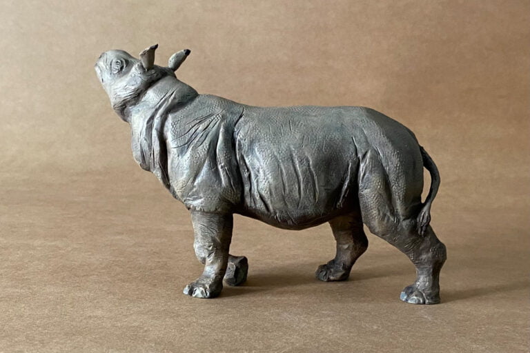 Aceratherium Incisivum (rinoceronte sin cuerno) | LA TIENDA DEL..