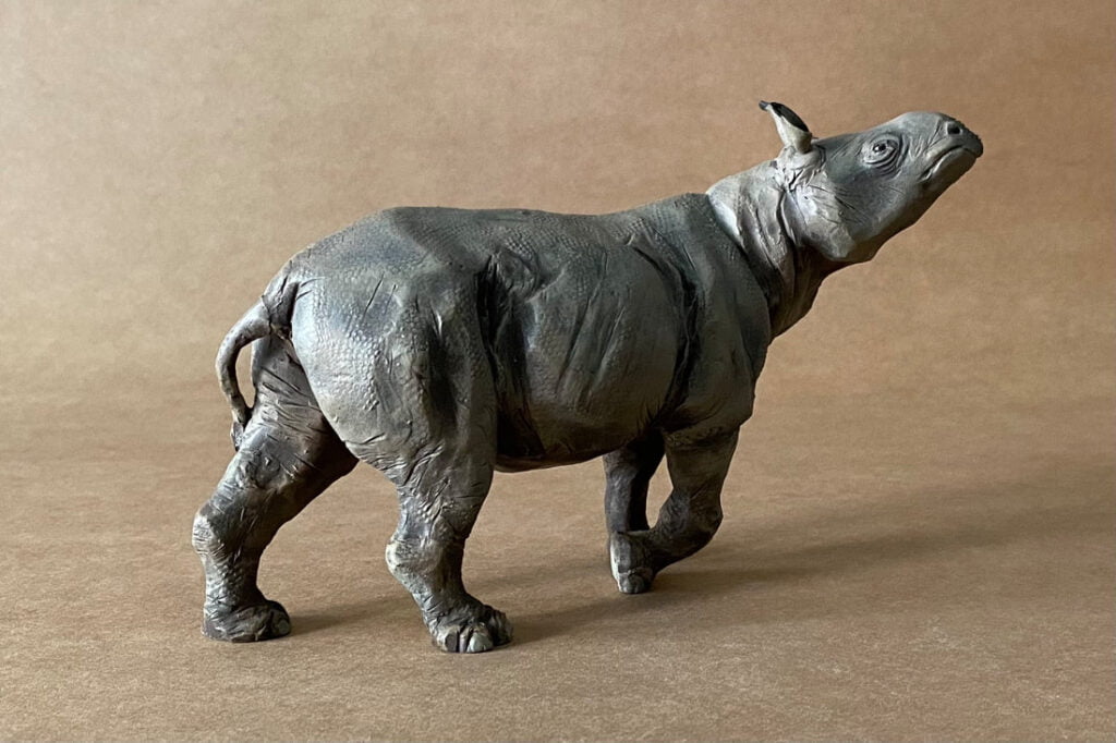 Aceratherium Incisivum (rinoceronte sin cuerno) | LA TIENDA DEL..