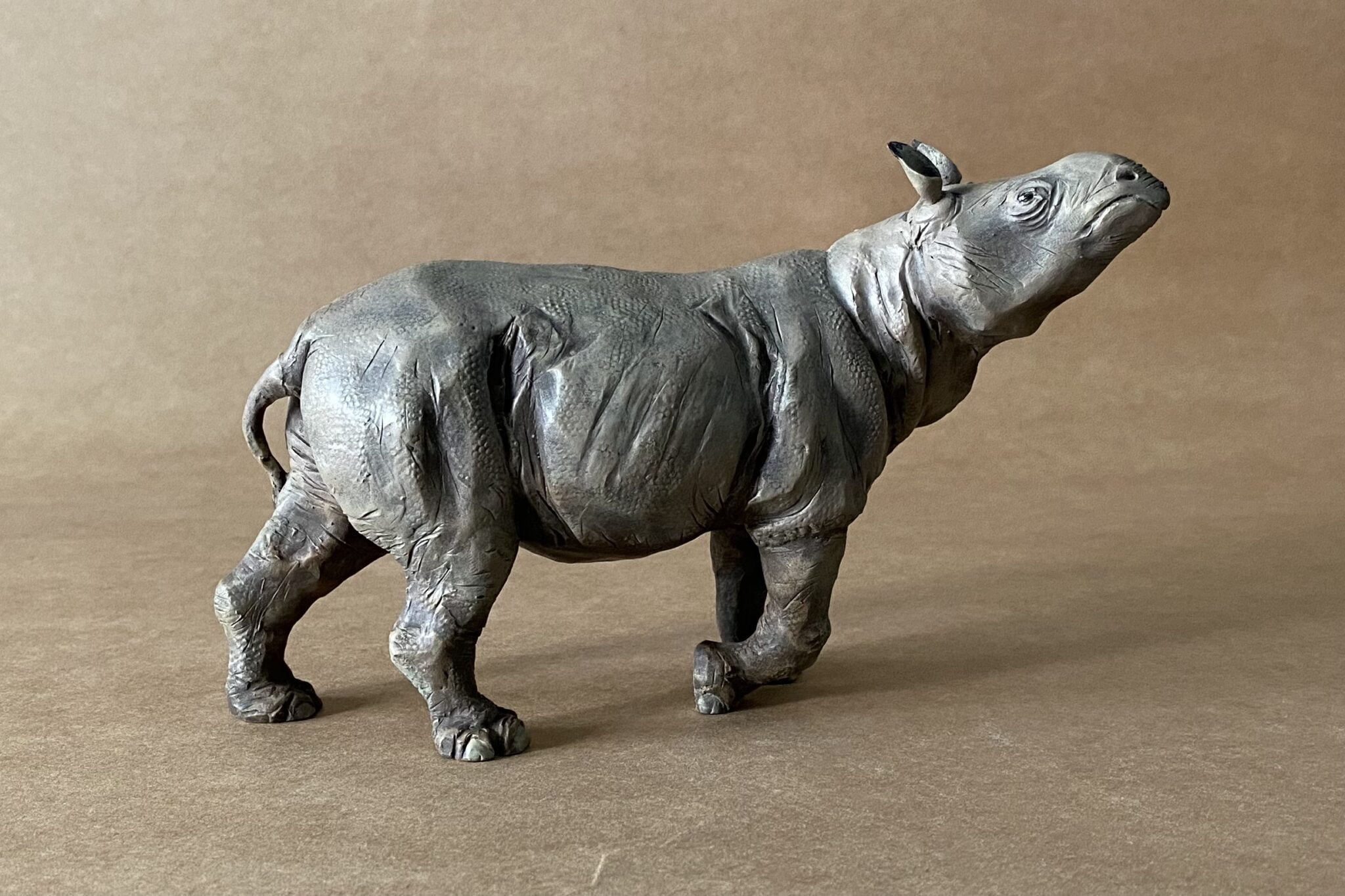 Aceratherium Incisivum (rinoceronte sin cuerno) | LA TIENDA DEL..