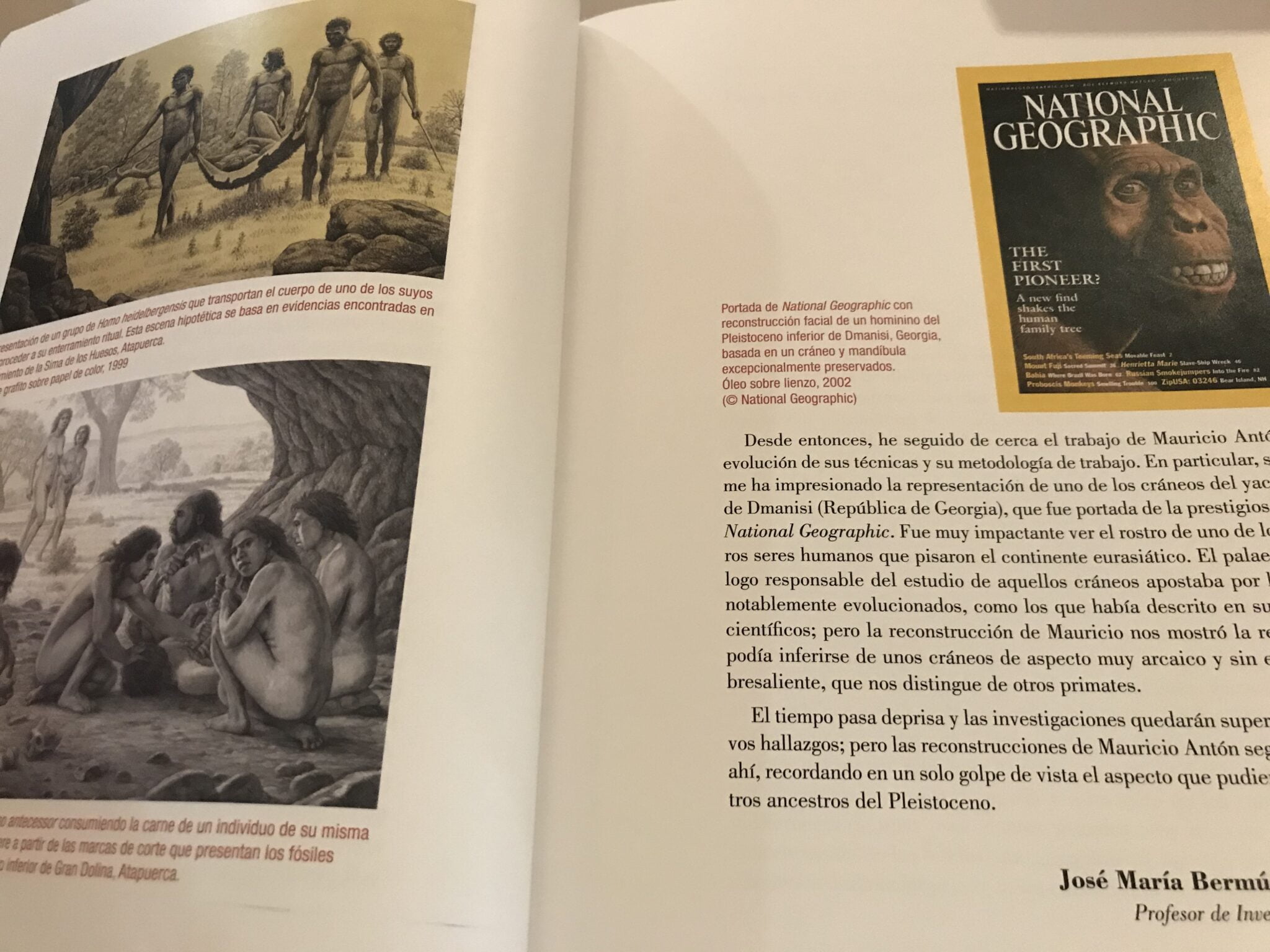 Mauricio Antón: Arte y Paleontología. Catálogo de la exposición.